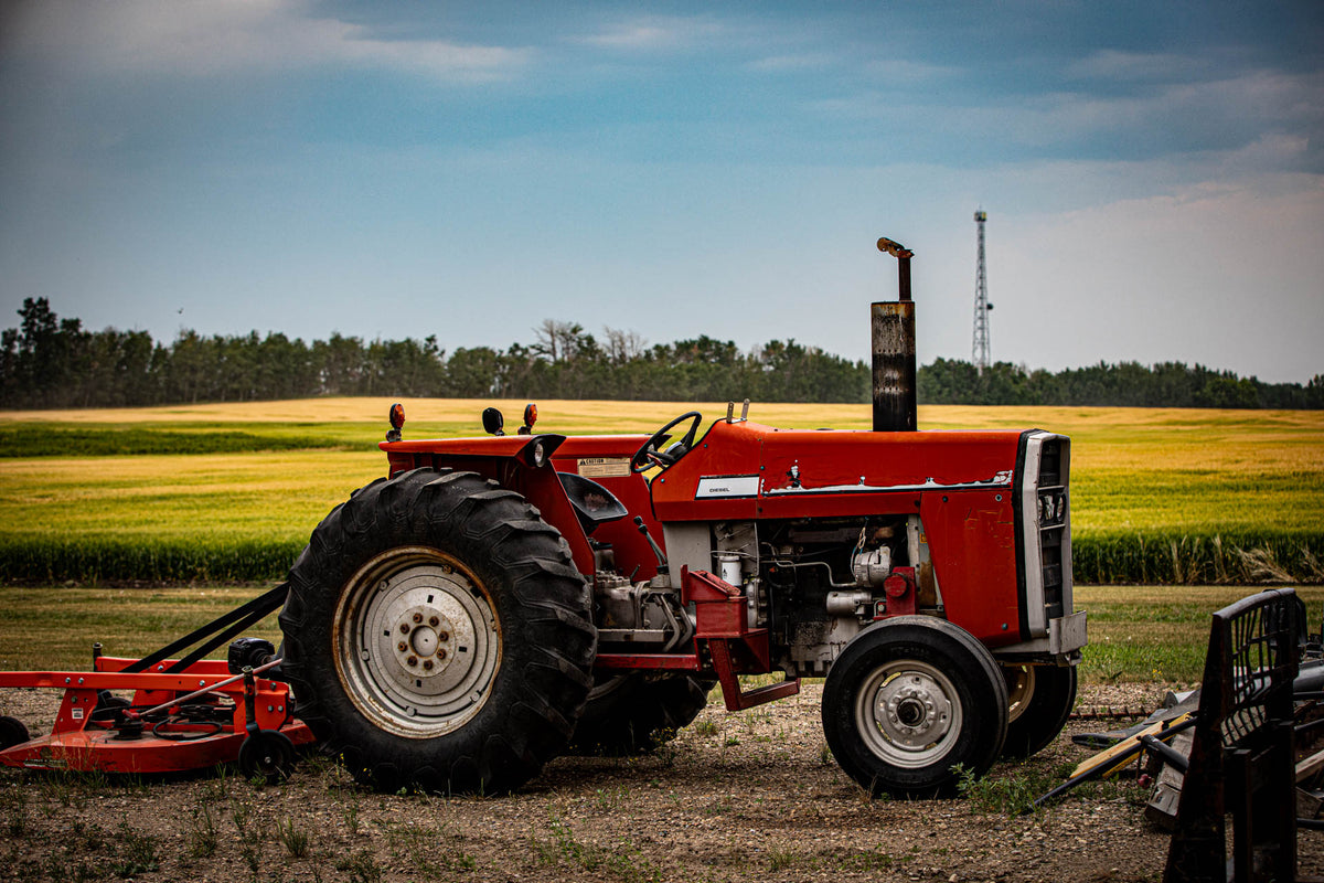 Vienna Lager Made with Red Shed – Red Shed Malting