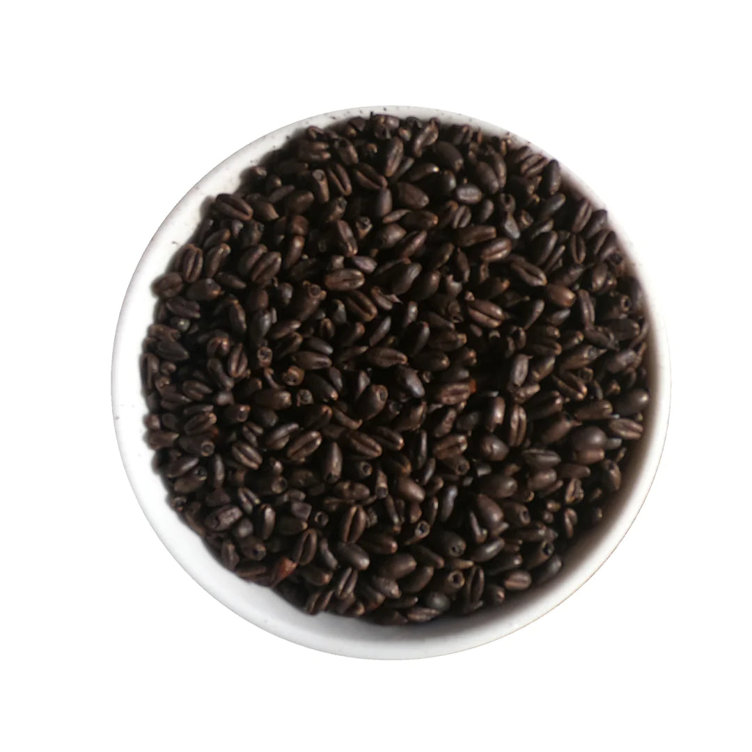 Malt of the Month March 2021: Black Bear Roasted Wheat – Red Shed Malting