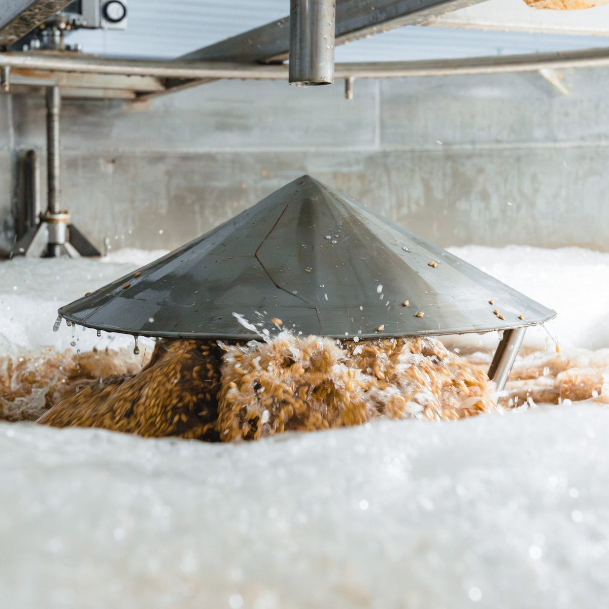 Czech Amber Lager Made with Red Shed – Red Shed Malting