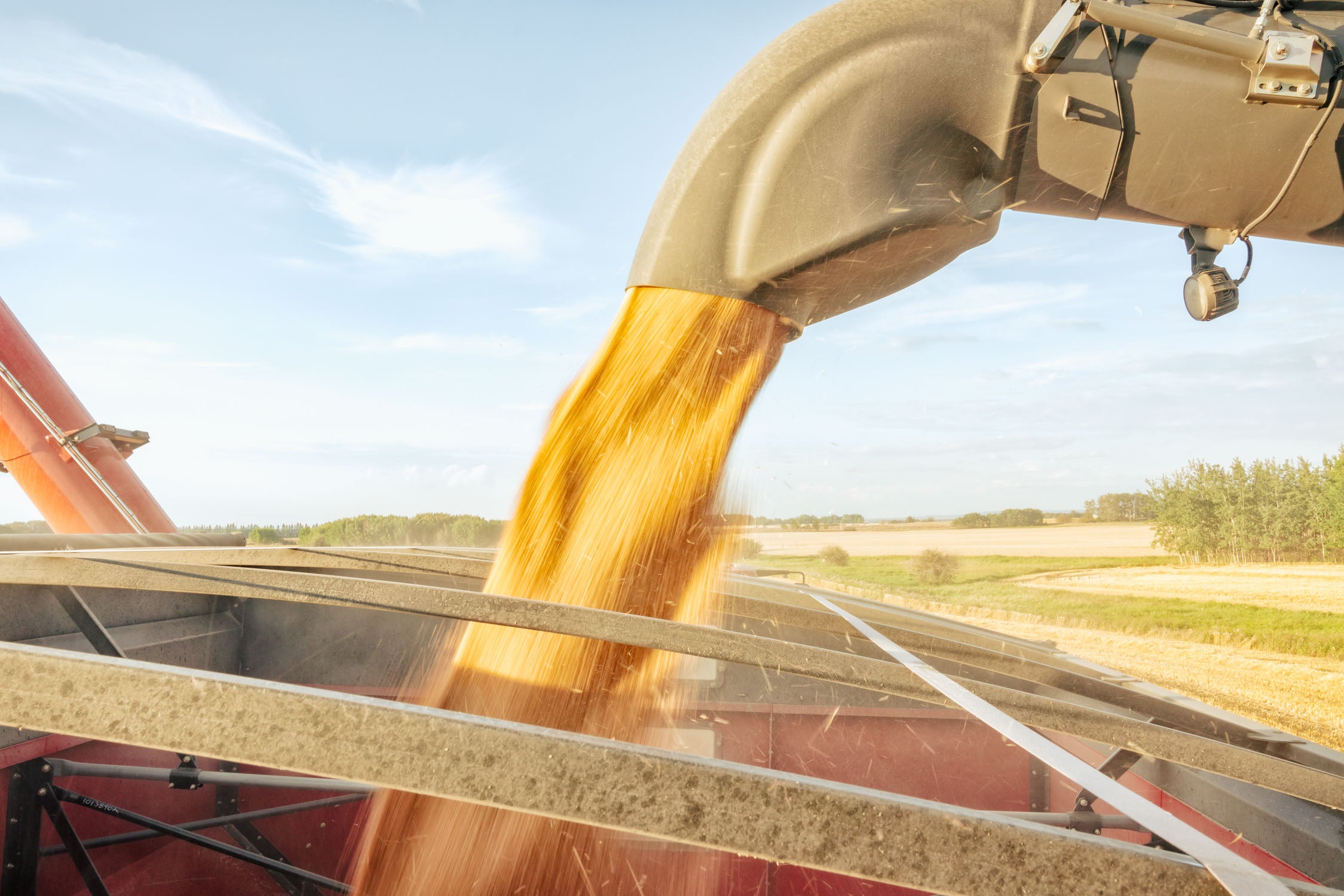 Canadian Malting Barley Technical Centre – Red Shed Malting