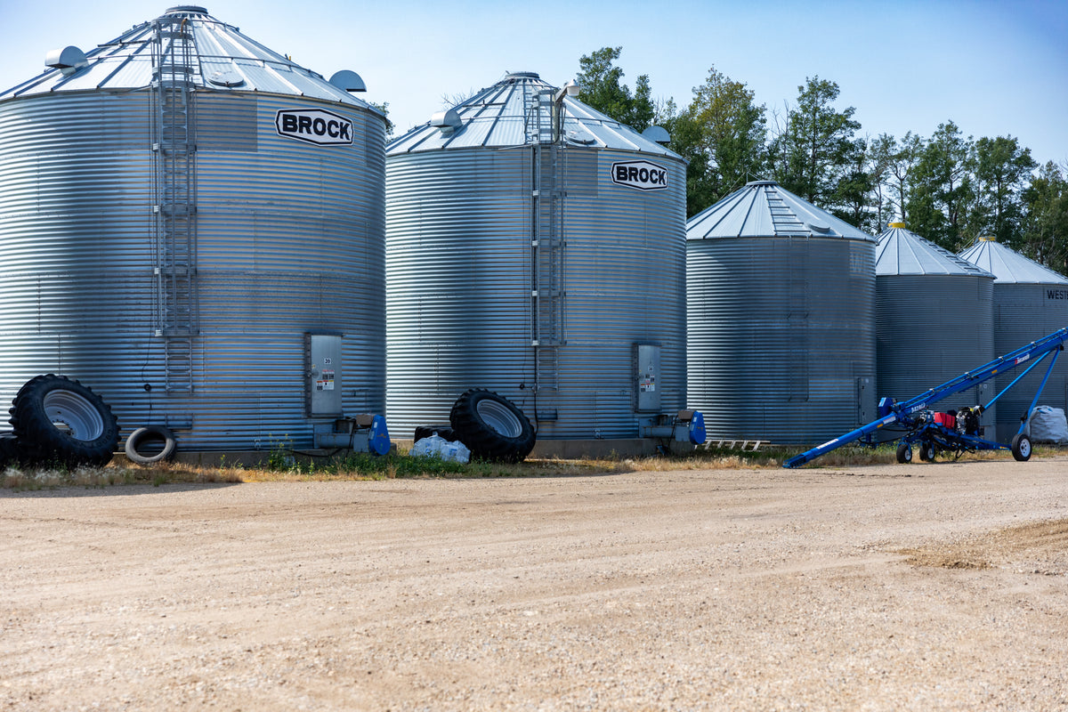 Irish Red Ale made with Red Shed – Red Shed Malting