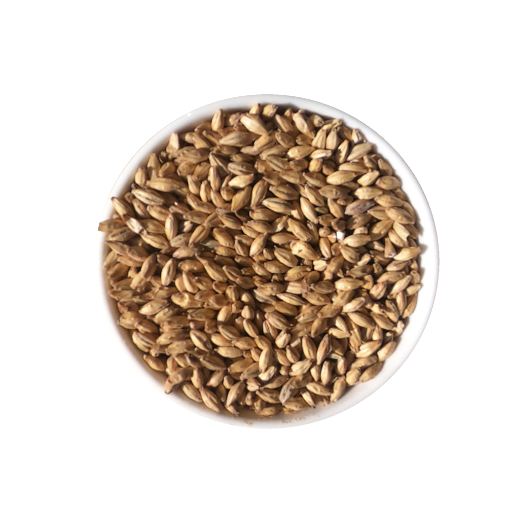 Malt of the Month July 2022: Rocky Mountain Malt – Red Shed Malting
