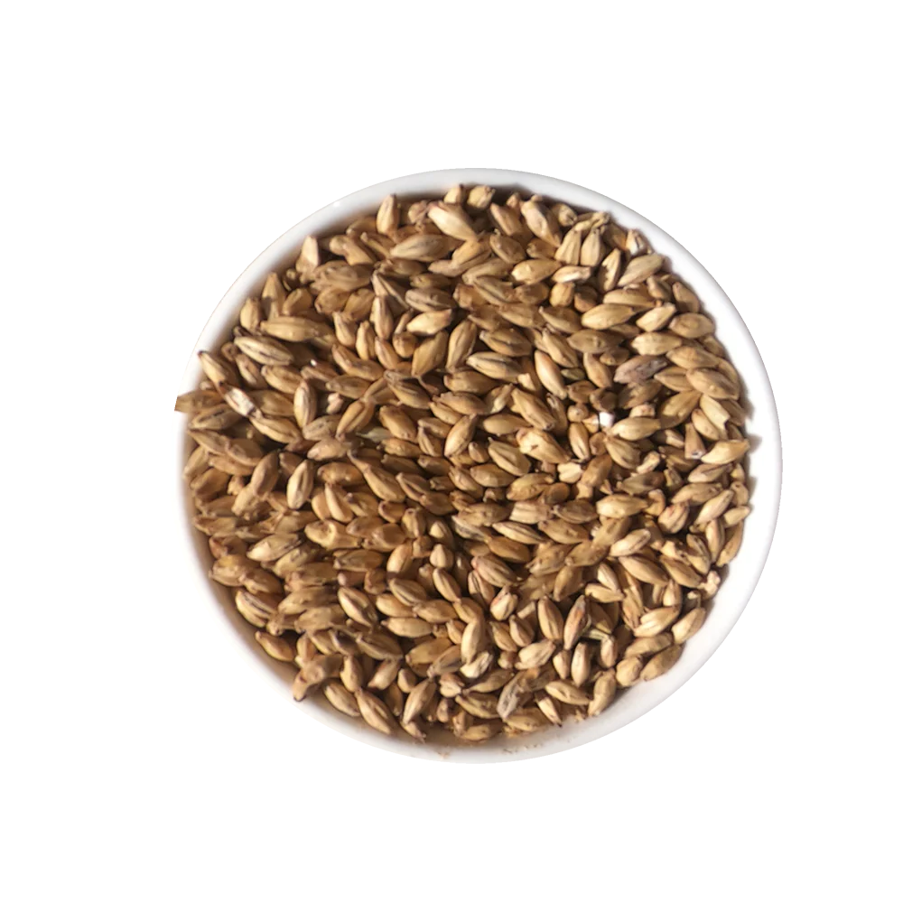 Malt of the Month September 2021: Rocky Mountain Malt – Red Shed Malting