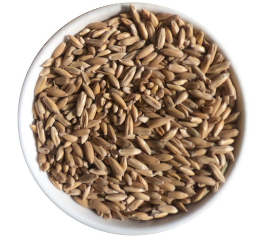 Malt of the Month March 2023: Malted Oats – Red Shed Malting