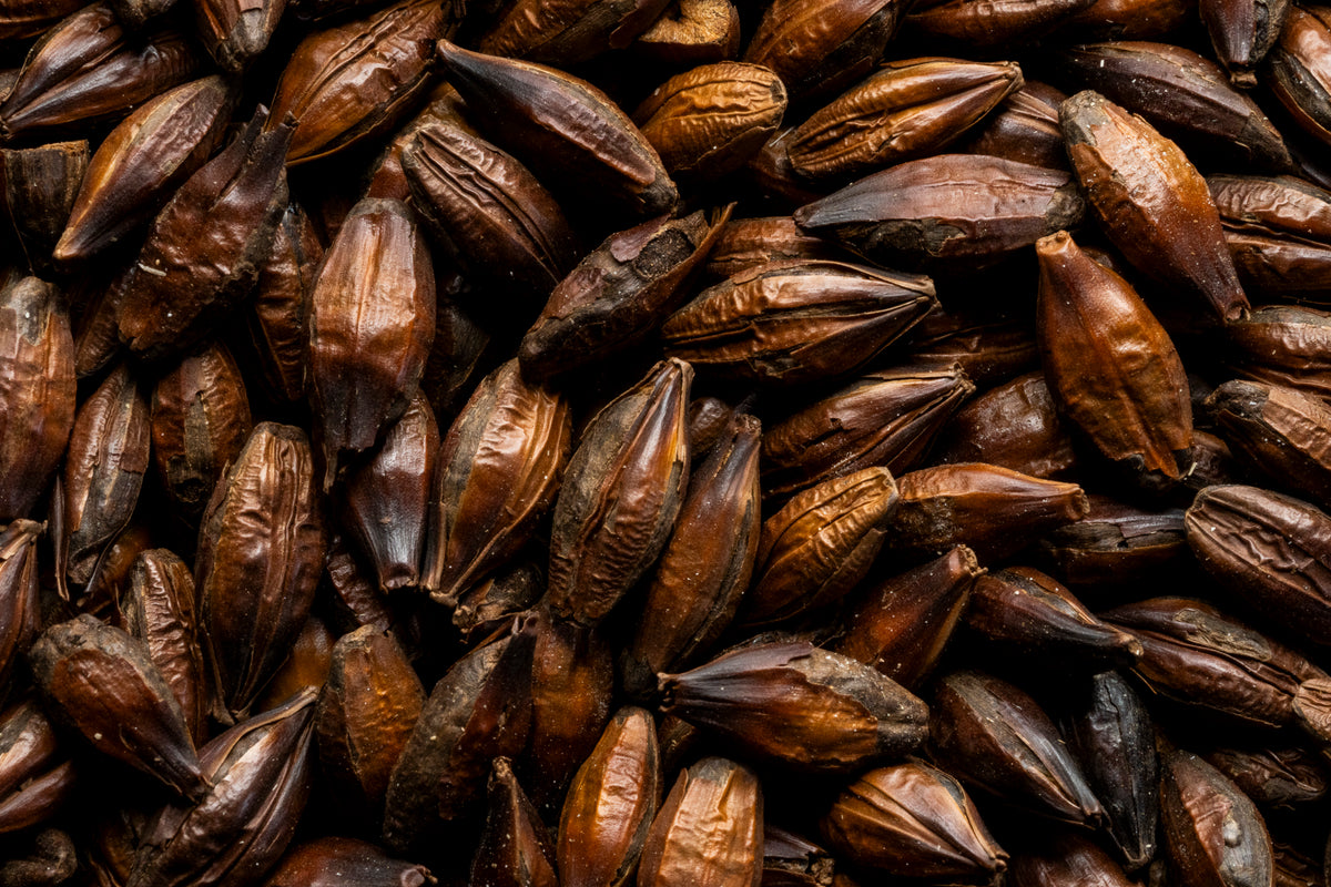 Roasted Barley – Red Shed Malting