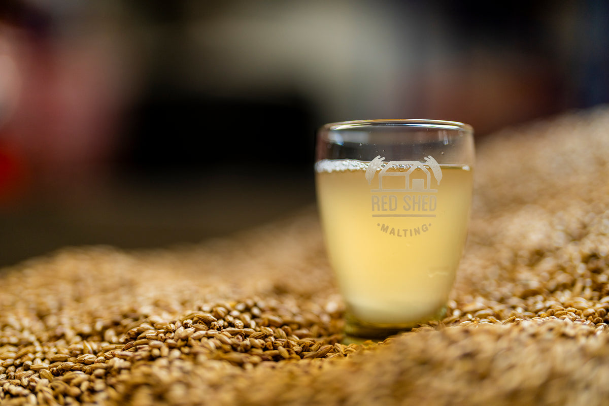 Wheat Malt – Red Shed Malting