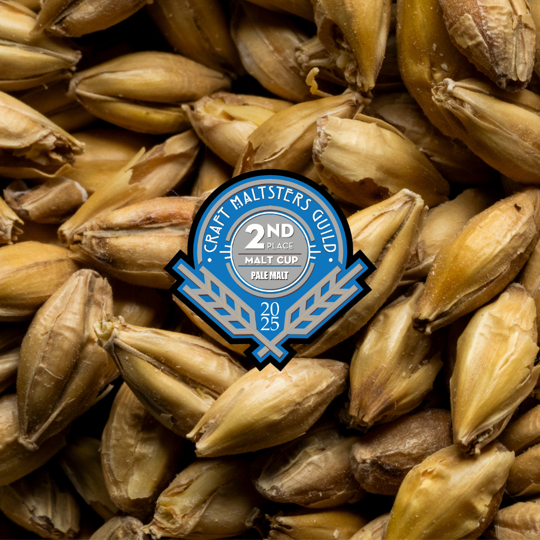Brewers Malt – Red Shed Malting