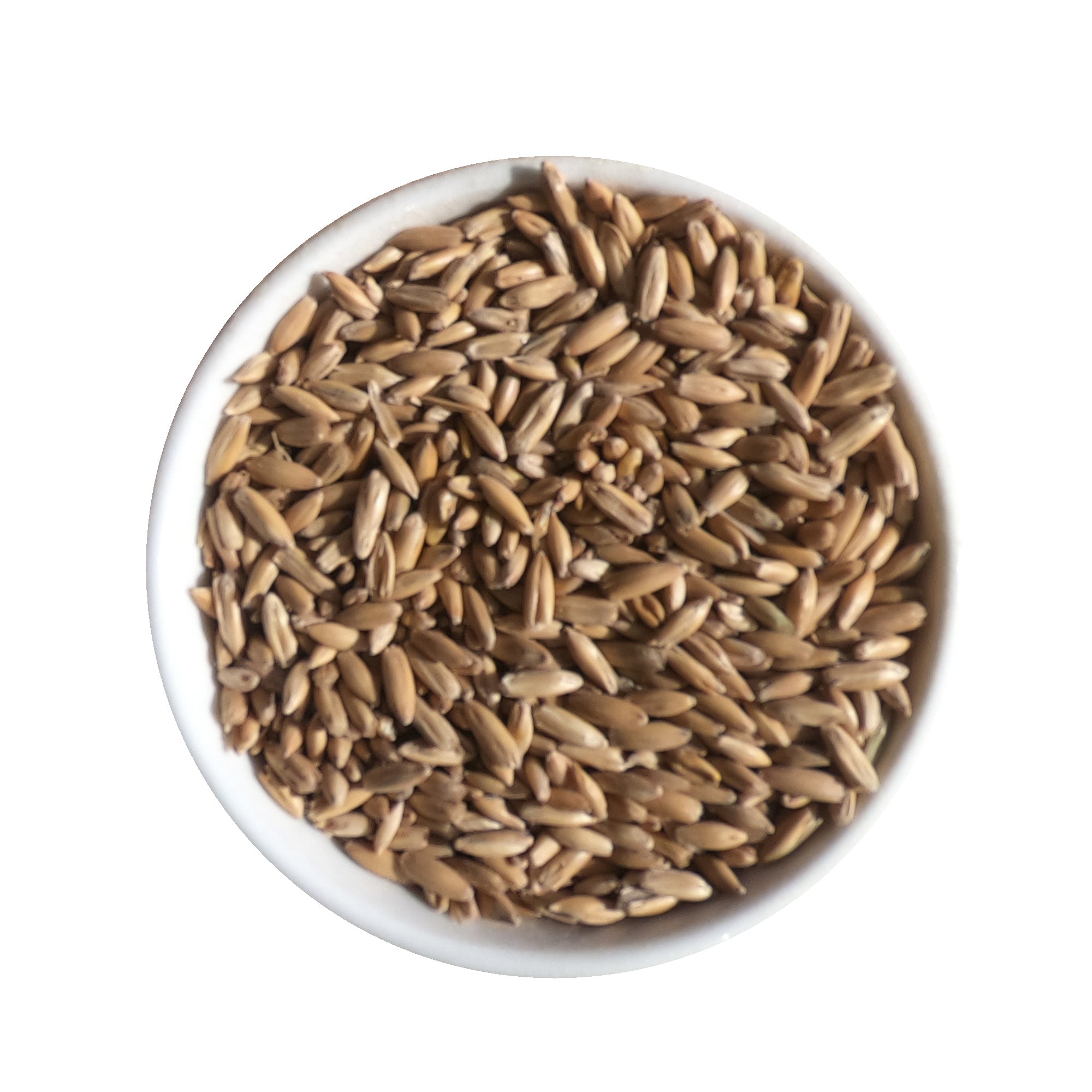 Oat Malt – Red Shed Malting