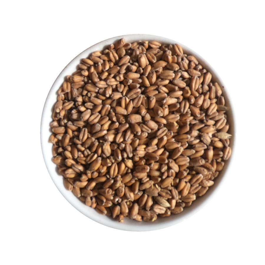 Distillers Malt – Red Shed Malting