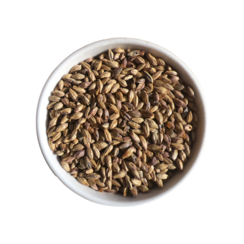 Roasted Malt – Red Shed Malting