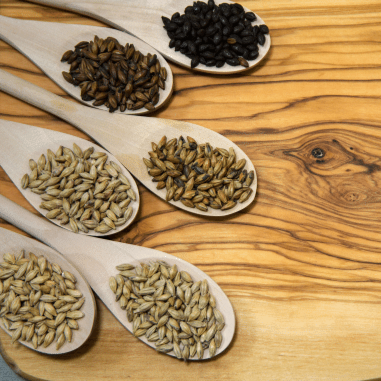 Malt Specifications – Red Shed Malting